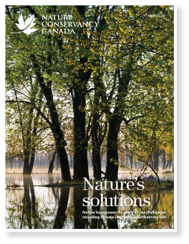 SUMMER 2021 – NCC Magazine