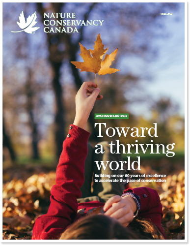 FALL 2022 – NCC Magazine