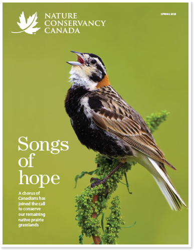 NCC Magazine – NCC Magazine