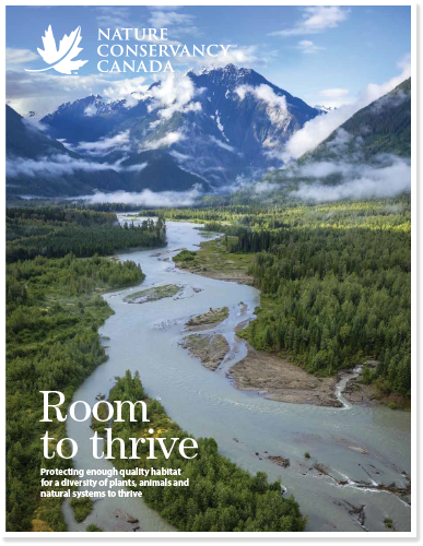 NCC Magazine – NCC Magazine