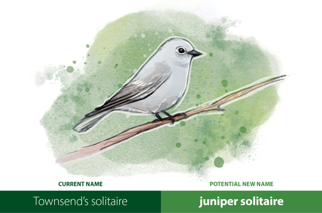 NCC Magazine – NCC Magazine