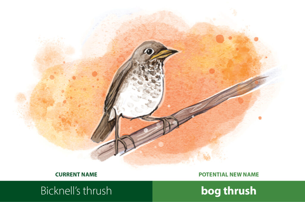 NCC Magazine – NCC Magazine