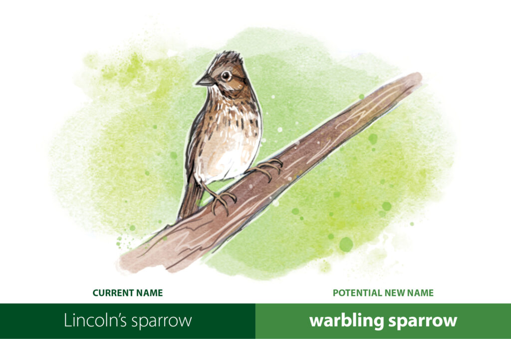 NCC Magazine – NCC Magazine