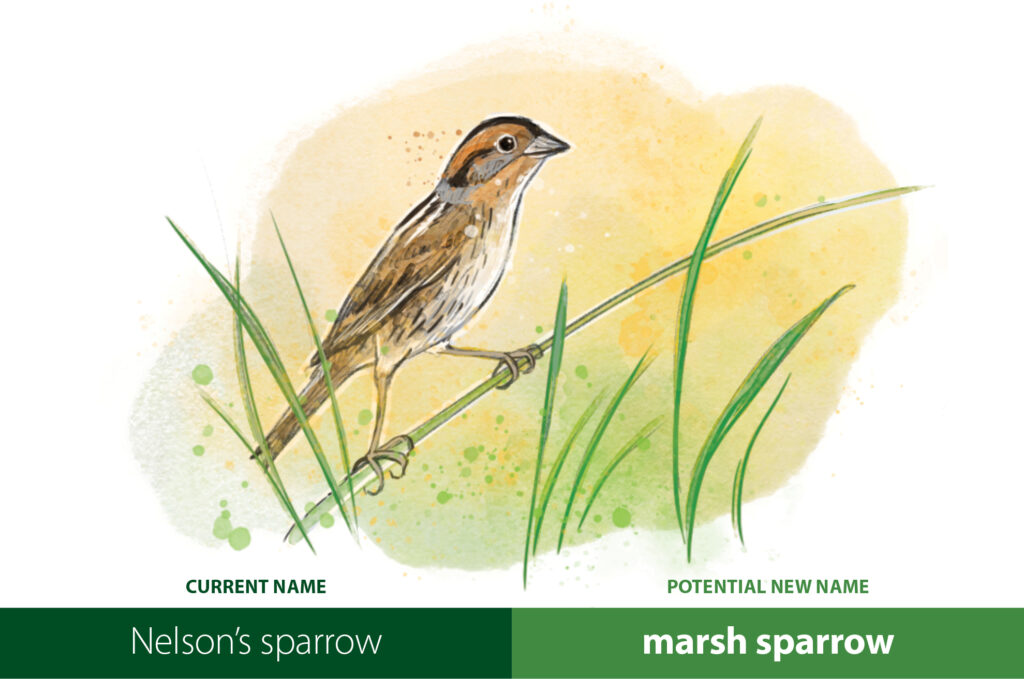 NCC Magazine – NCC Magazine