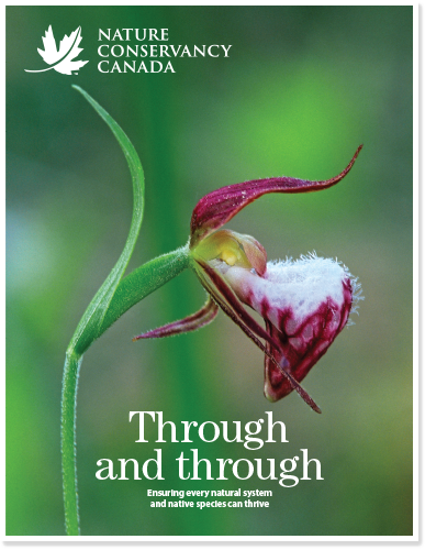 NCC Magazine – NCC Magazine